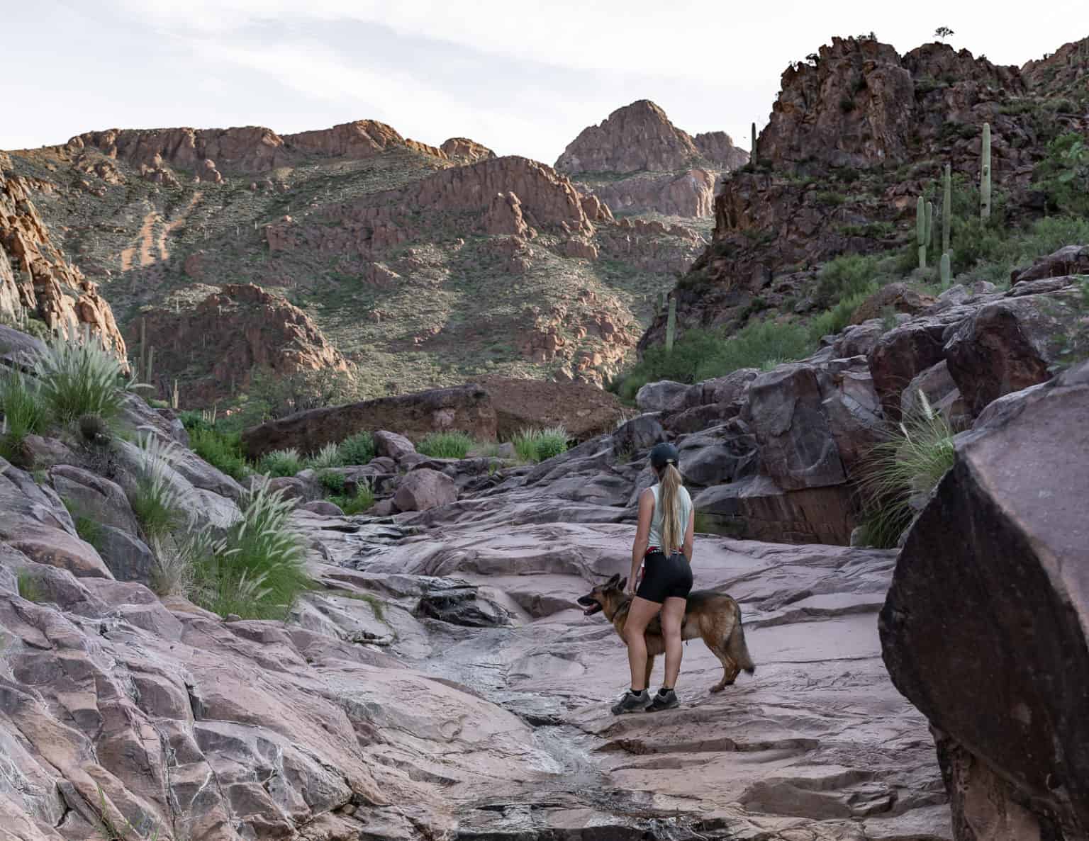 10 Amazing Superstition Mountains Hikes for your Bucket List - Karabou
