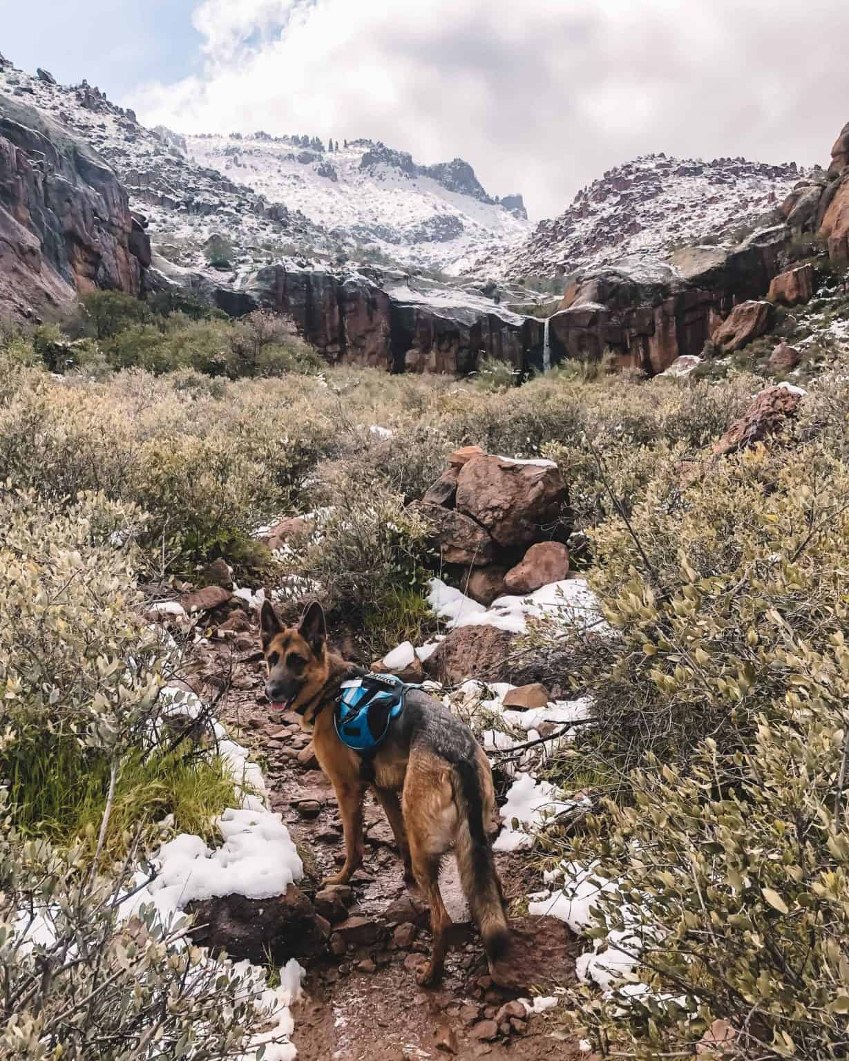 Hiking to Massacre Falls via Massacre Grounds Trail - Karabou Adventures