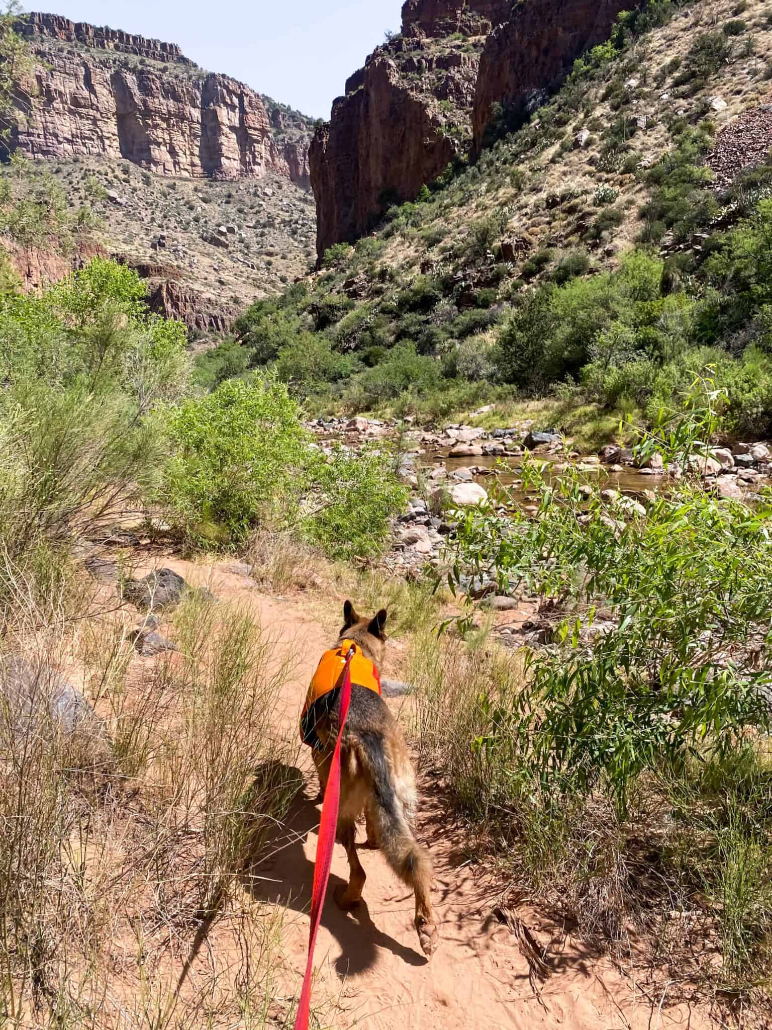 Hiking Cibecue Falls- Everything You Need To Know - Karabou Adventures