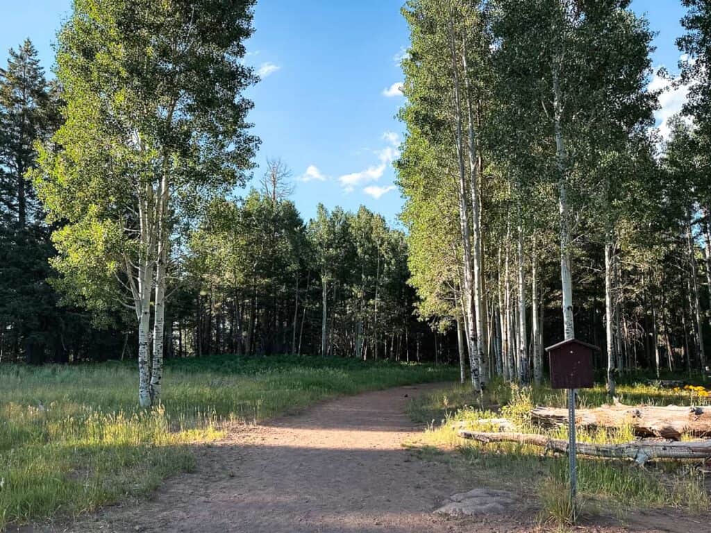 Alfa Fia Tank Loop- An Easy Hike In Flagstaff - Karabou Adventures