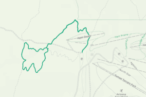 Hiking The Aspen Nature Loop In Flagstaff - Karabou Adventures