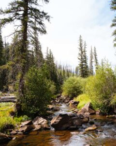 Thompson Trail 629- A Beautiful Arizona Hidden Gem - Karabou Adventures