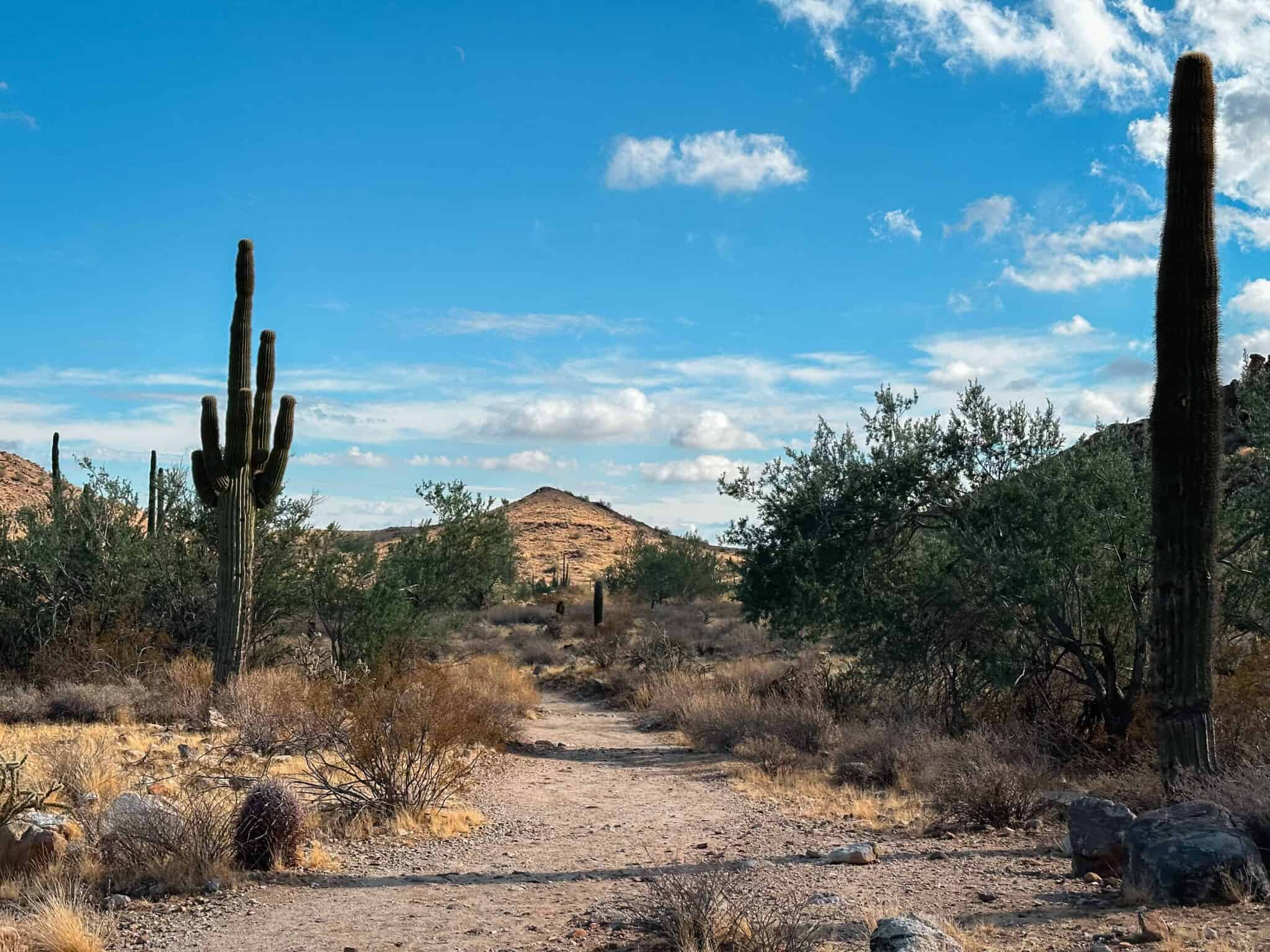 Hiking Black Rock Loop Trail In The White Tanks - Karabou Adventures